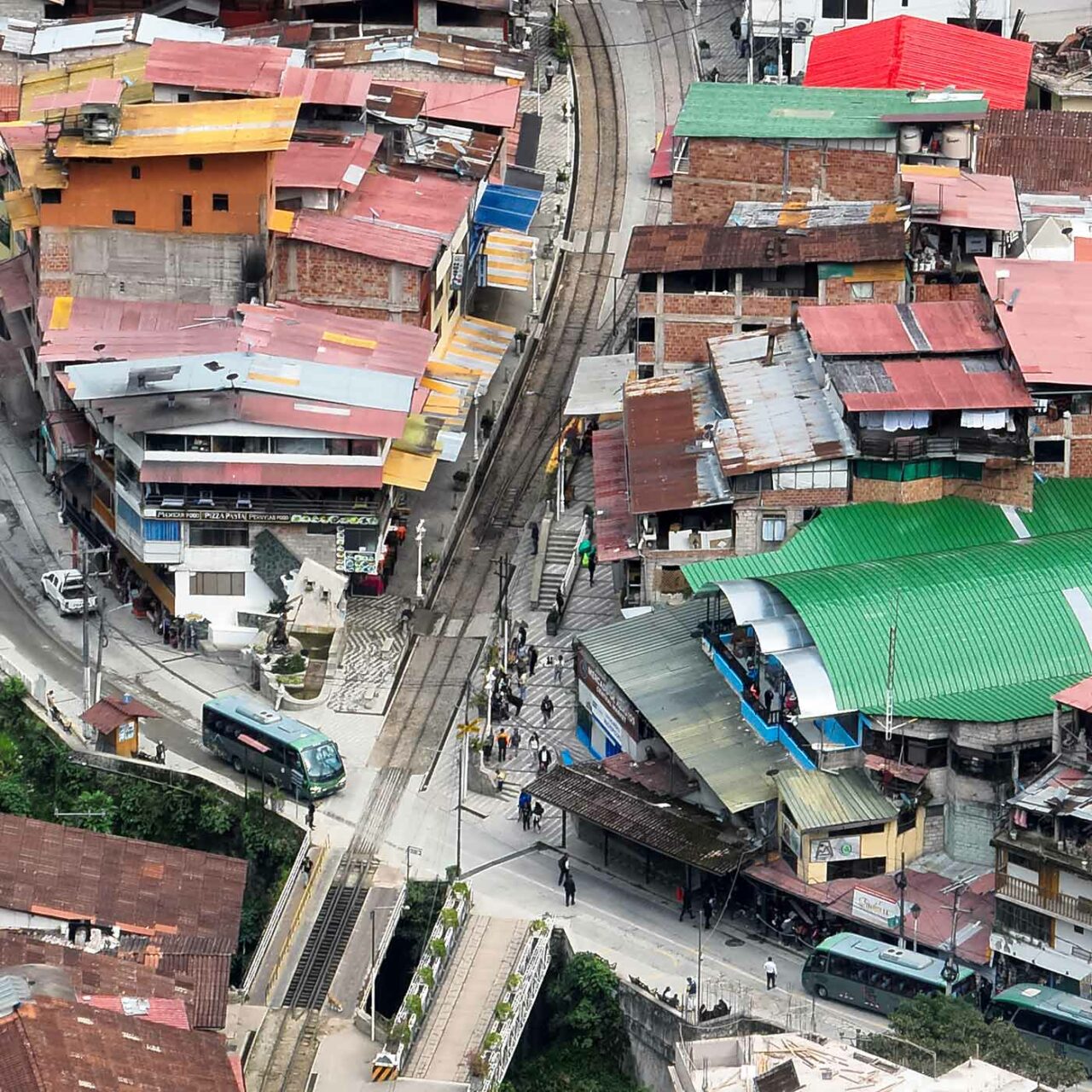 Cloud Forest | NatureEye