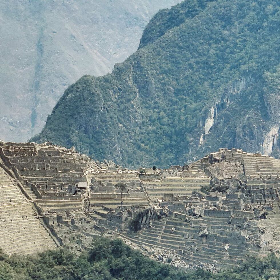 Cloud Forest | NatureEye