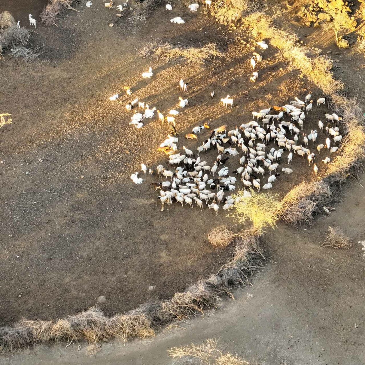 Chyulu Hills | NatureEye