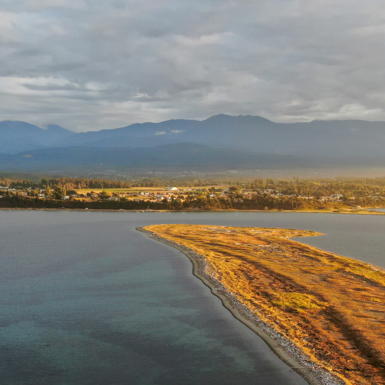 Dungeness Spit | NatureEye