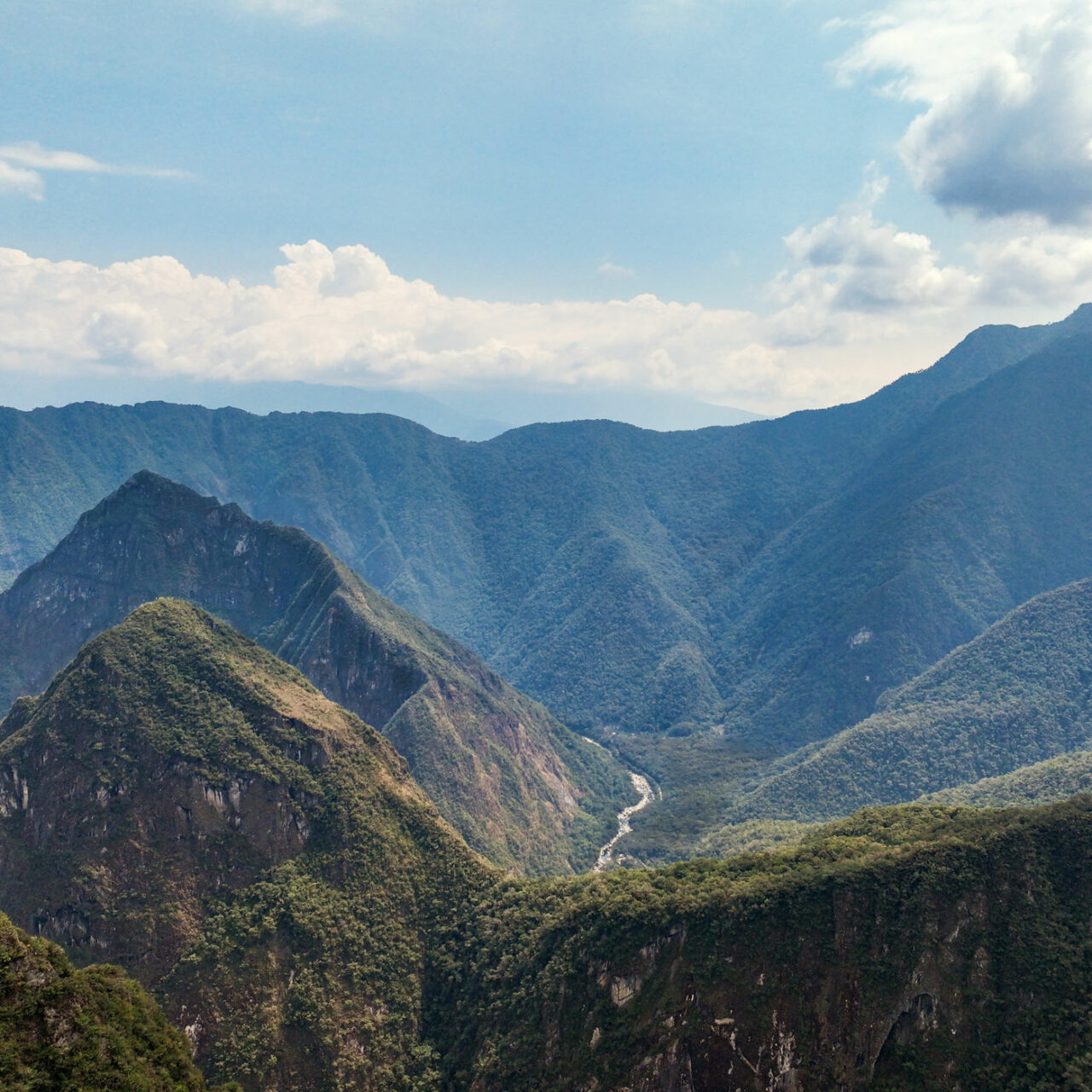 Cloud Forest | NatureEye