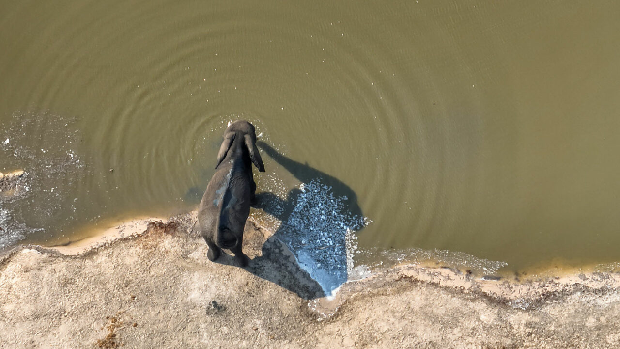 Capturing the Iceland Volcanic Eruption: A Drone's-Eye View | NatureEye