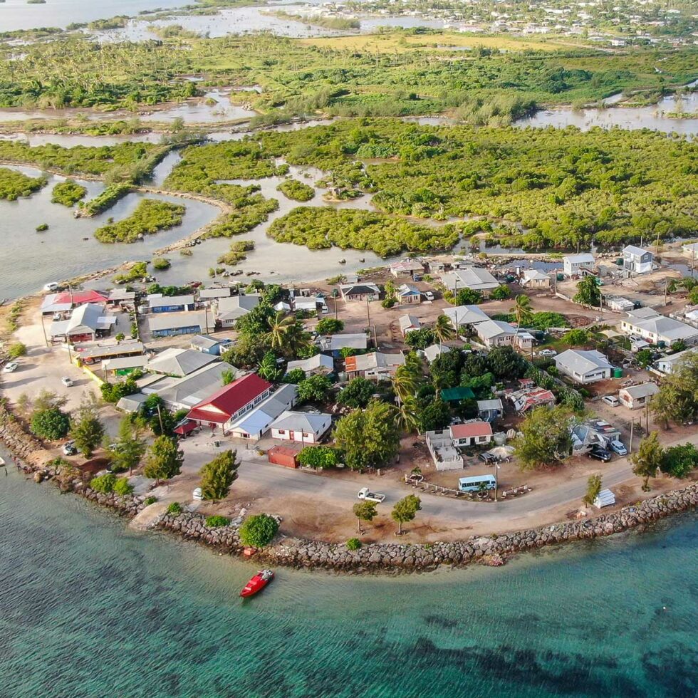 Tongatapu Island | NatureEye