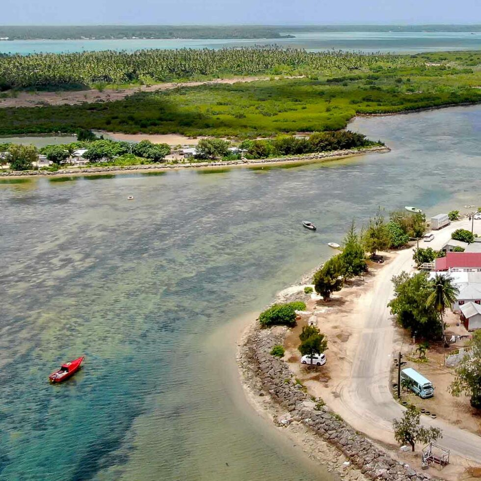 Tongatapu Island | NatureEye