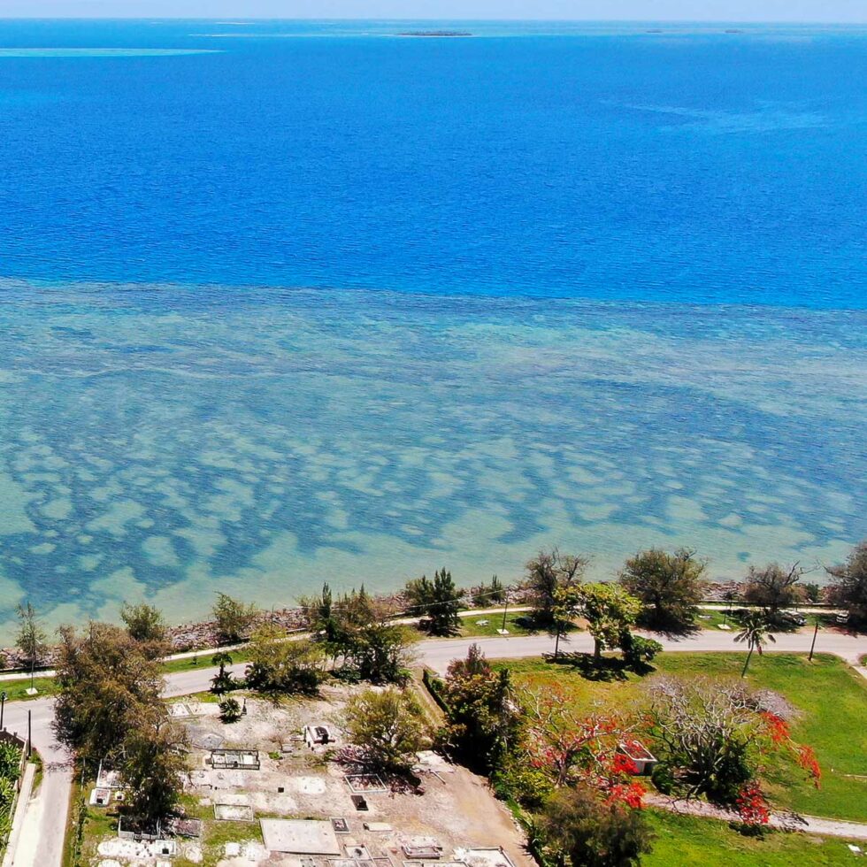 Tongatapu Island | NatureEye